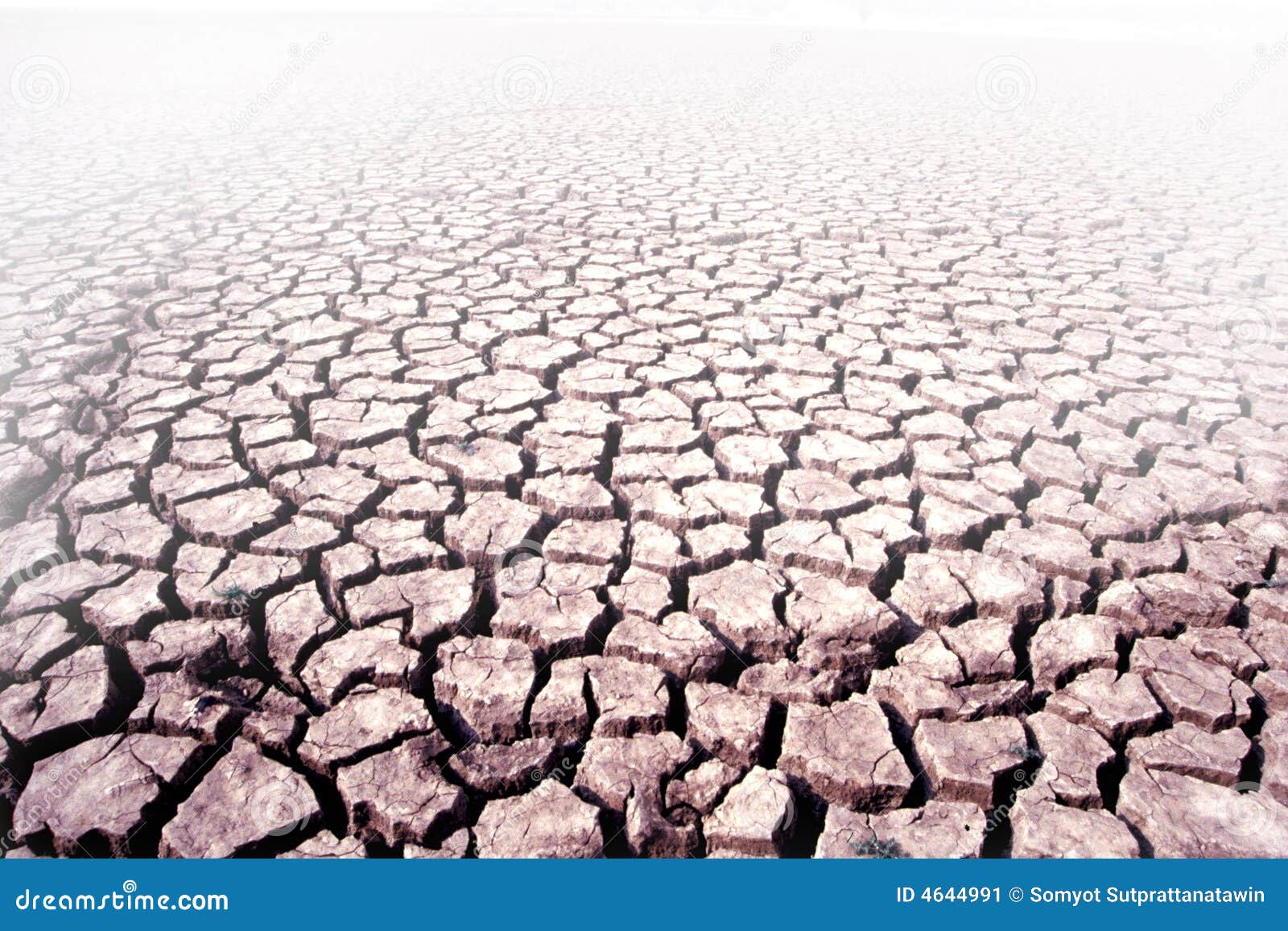 Droogte stock afbeelding. Image of mening, mist, bruin - 4644991