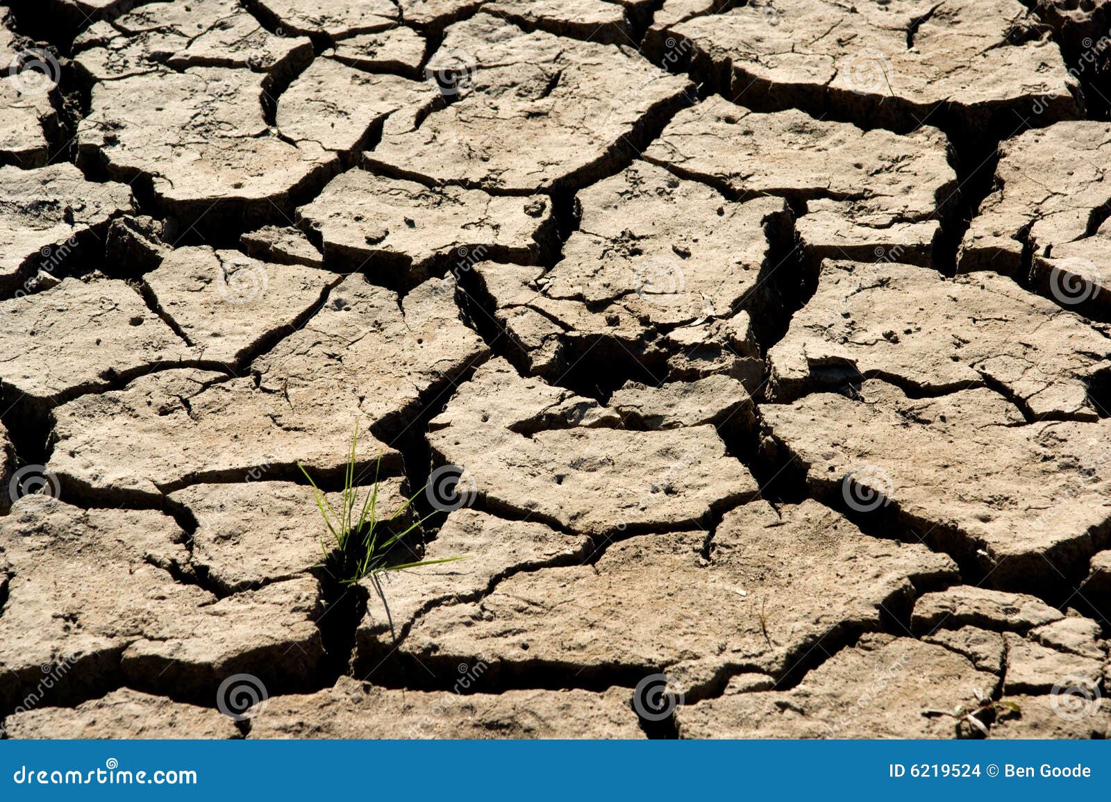 Droogte stock foto. Image of globaal, openlucht, milieu - 6219524