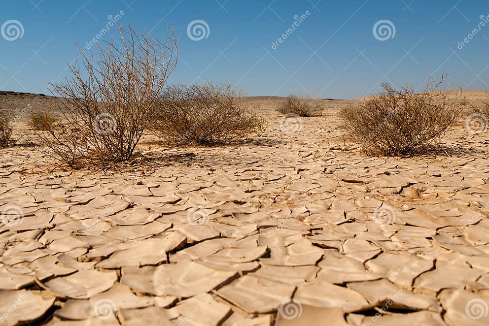 Droogte en Ontvolking stock afbeelding. Image of verandering - 61805333