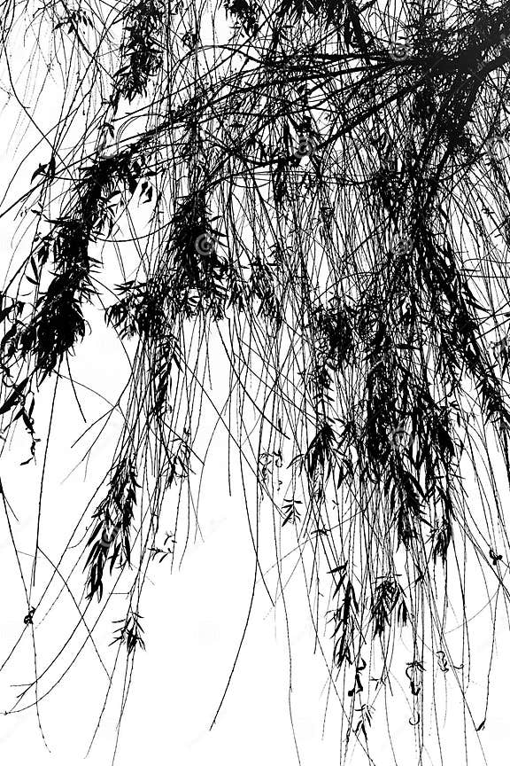 Droopy Tree Branches stock image. Image of branches, tree - 12467021