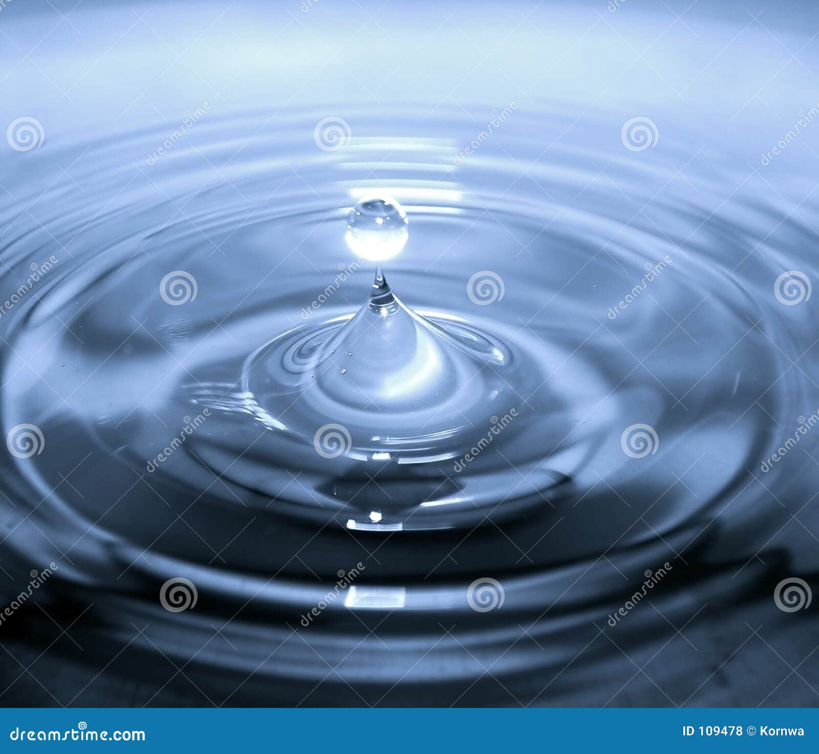 Drop stock photo. Image of macro, texture, makro, drops - 109478