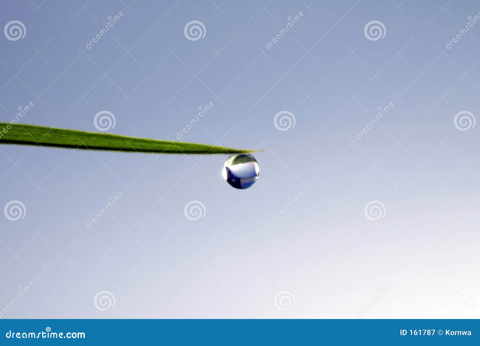 Drop stock image. Image of liquid, soda, texture, cold - 161787