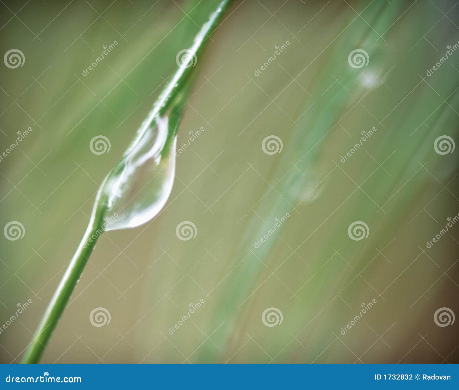 Drop Picture. Image: 1732832