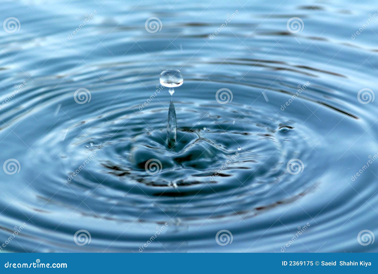 Drop stock image. Image of outdoor, micro, nature, water - 2369175