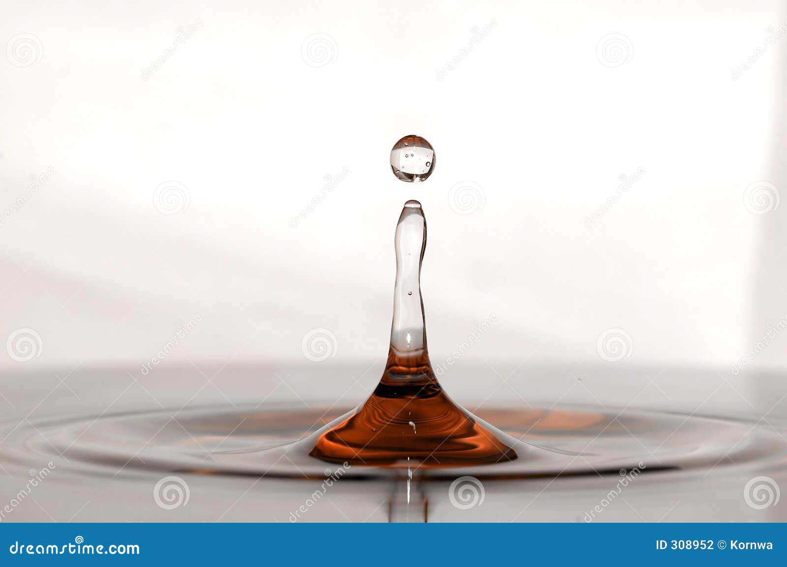 Drop stock photo. Image of business, cold, condensed, drop - 308952