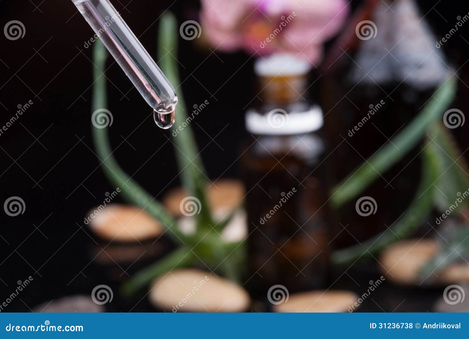 Drop of Aromatherapy Essential Oil Stock Photo - Image of herb, leaf ...