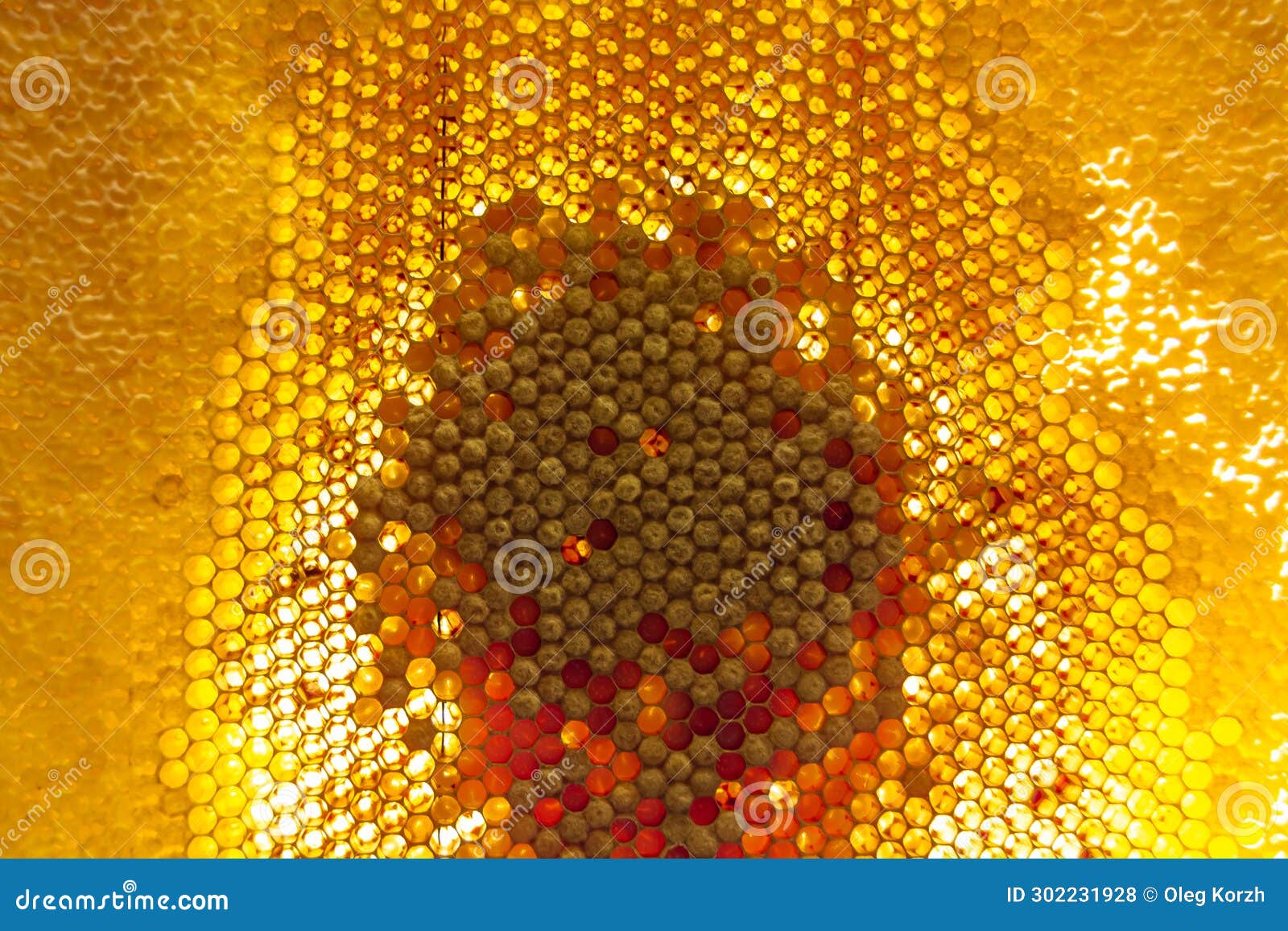 Drop of Bee Honey Drip from Hexagonal Honeycombs Filled with Golden ...