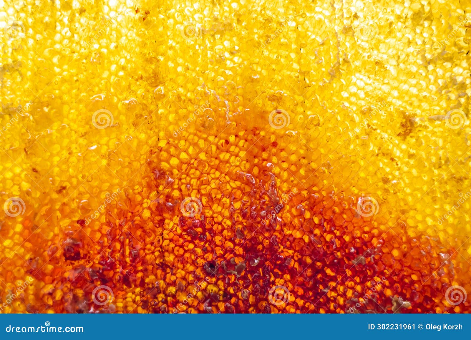 Drop of Bee Honey Drip from Hexagonal Honeycombs Filled with Golden ...