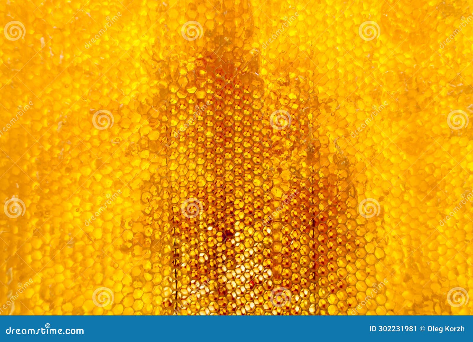Drop of Bee Honey Drip from Hexagonal Honeycombs Filled with Golden ...