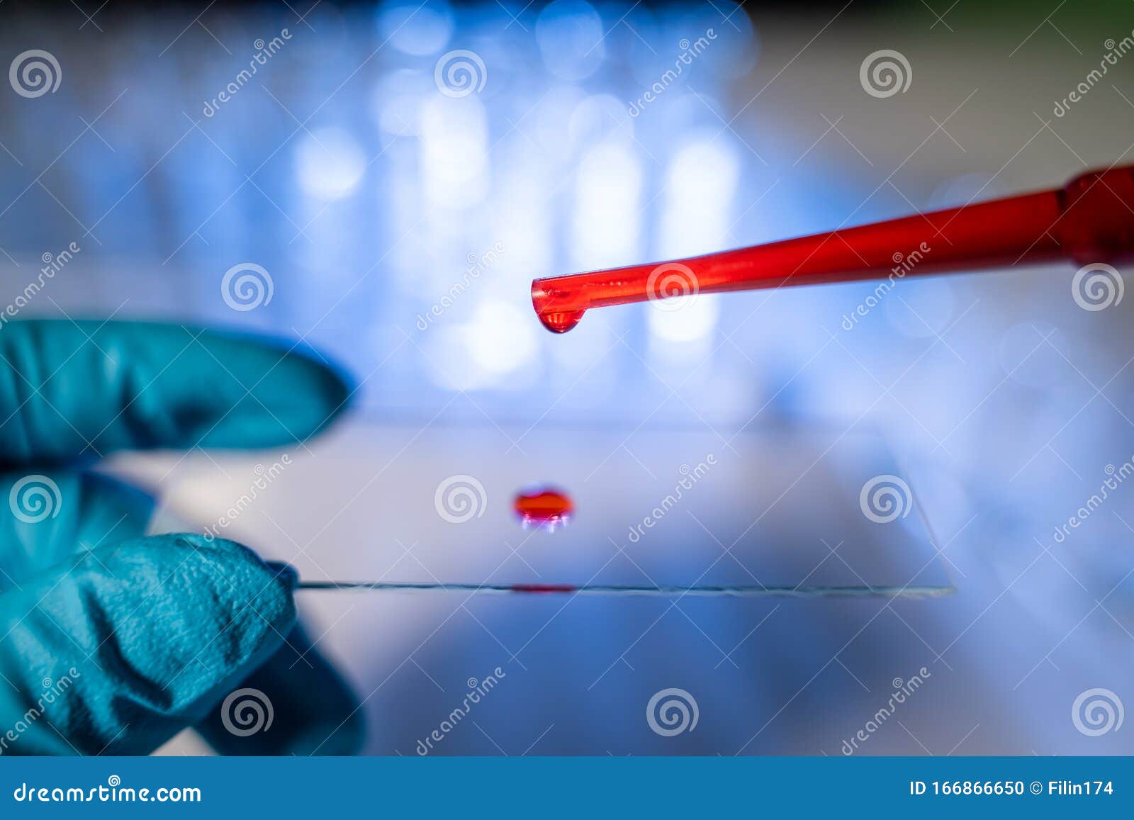 Drop of Blood on a Glass Slide Using Micropipette Microtip Stock Photo ...