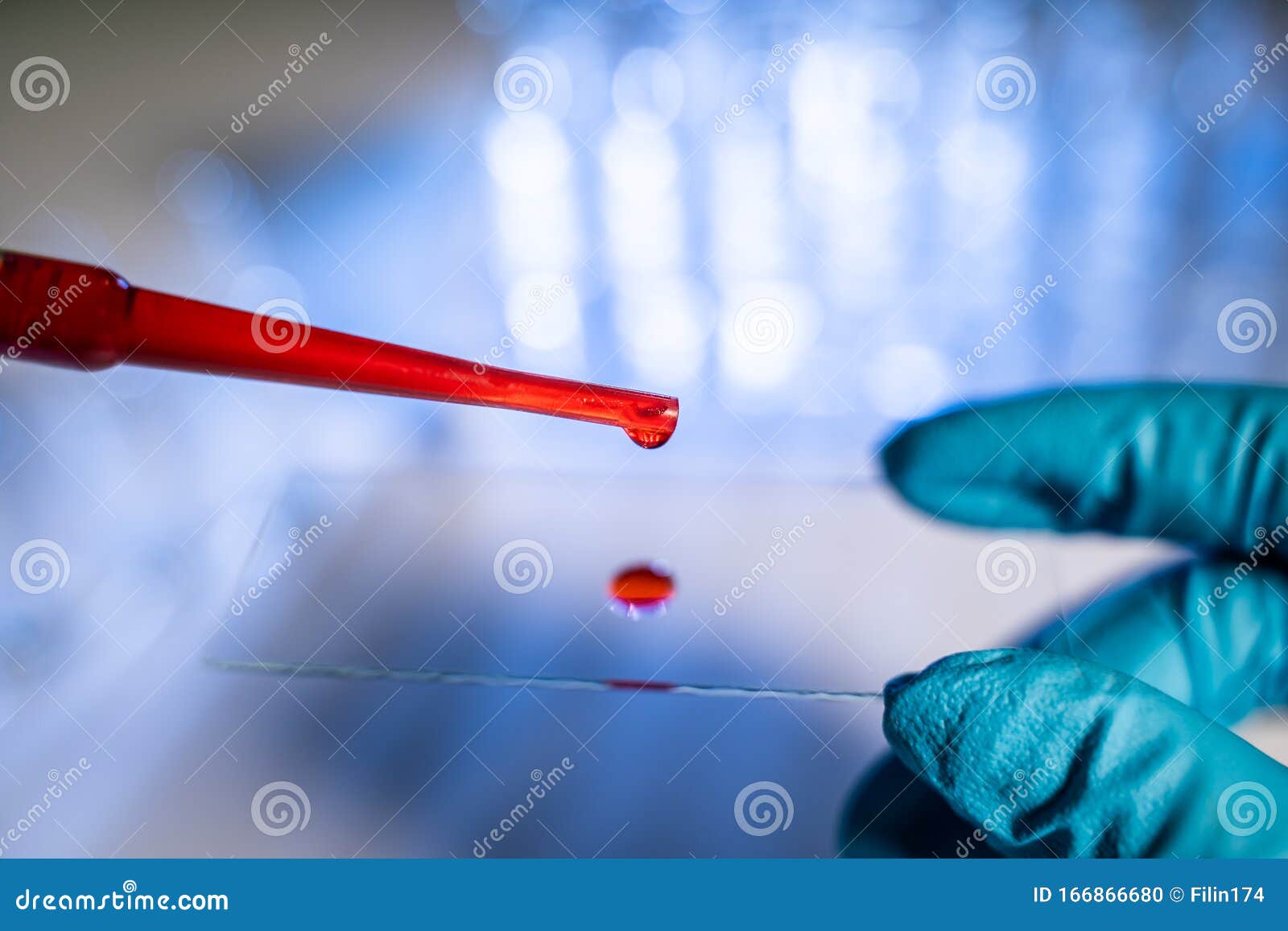 Drop of Blood on a Glass Slide Using Micropipette Microtip Stock Photo ...
