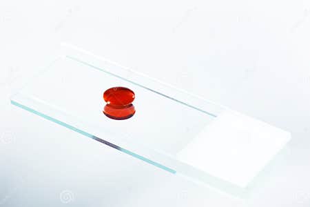 Drop of Blood on Microscope Slide - Macro Stock Photo - Image of blood ...