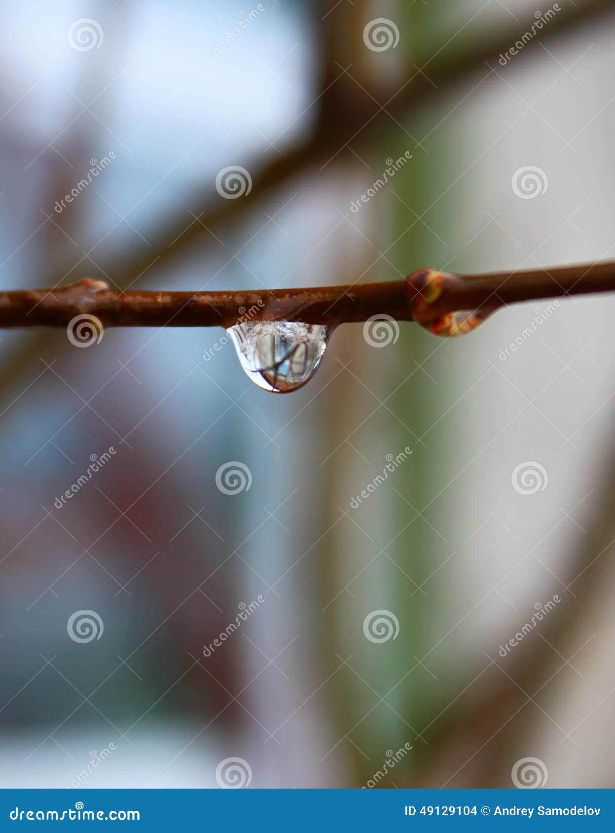 Drop stock photo. Image of darkly, humidity, dampness - 49129104