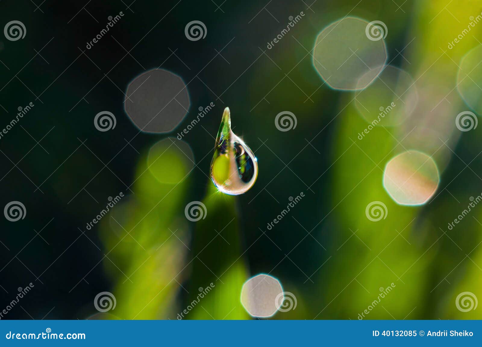 Drop of dew stock image. Image of leaf, blue, environment - 40132085