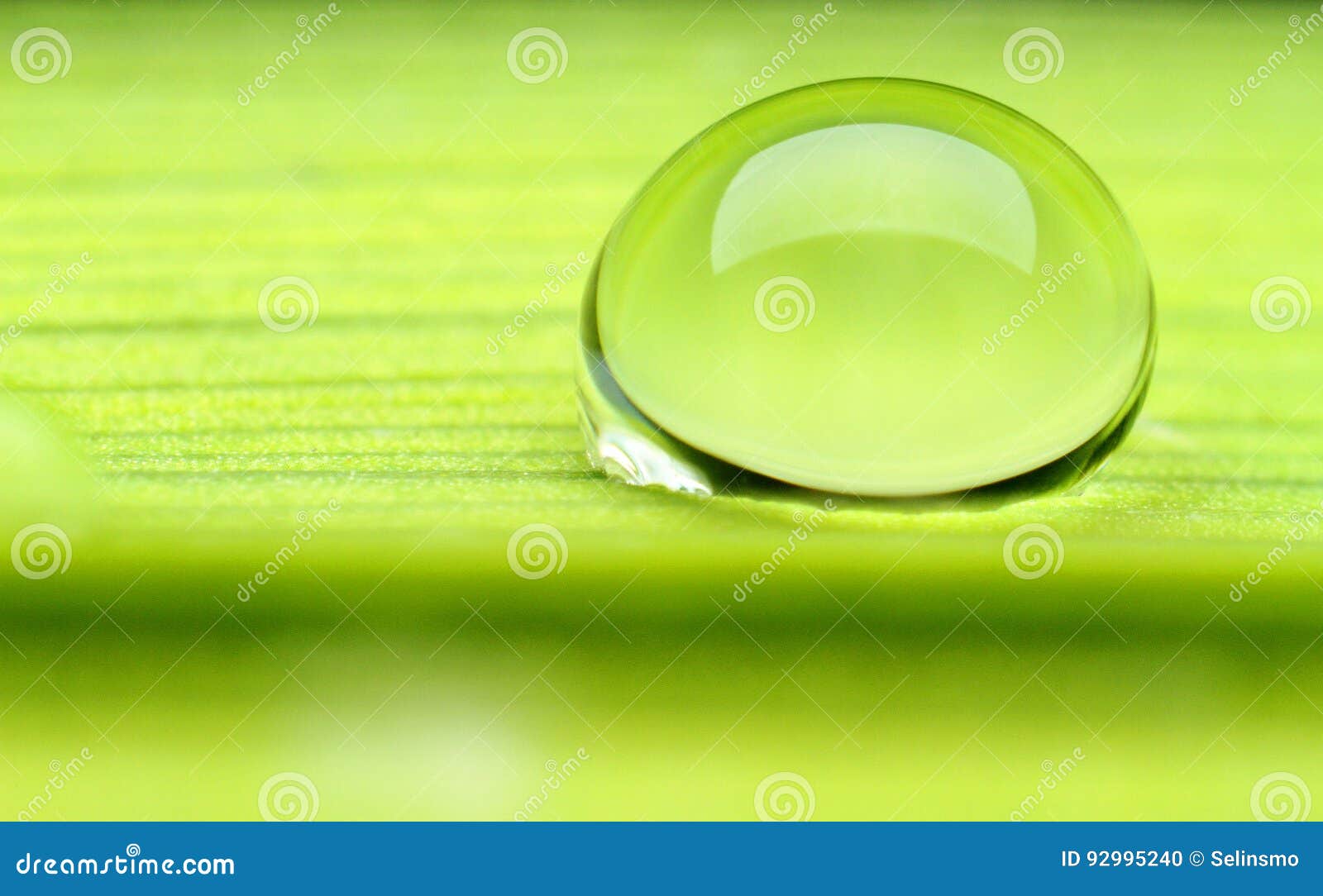 A drop of dew on a sheet stock photo. Image of tranquility - 92995240