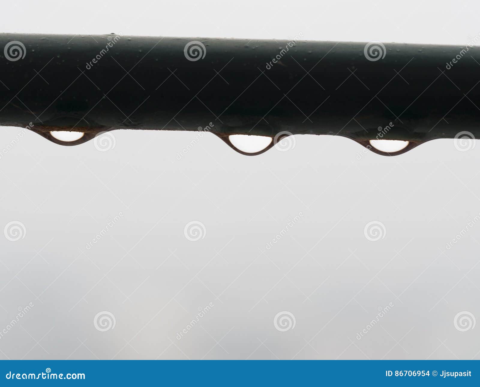 Drop of dew stock photo. Image of fresh, living, background - 86706954