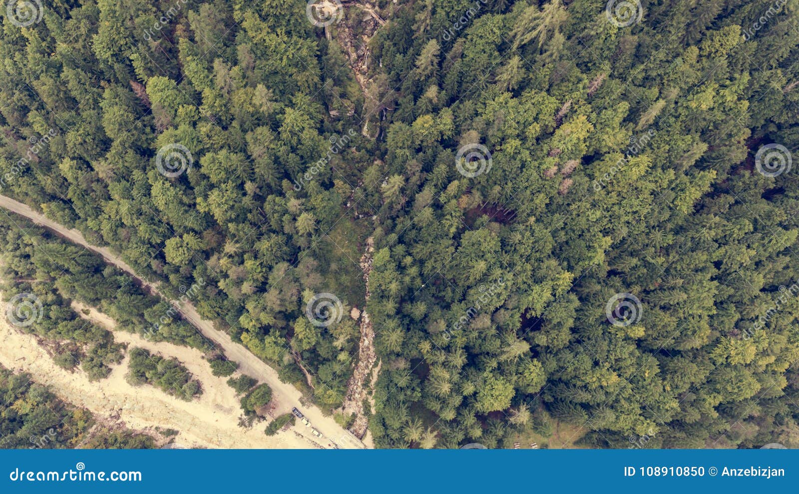 Drop Down View of River Bed Running through a Forest. Stock Photo ...