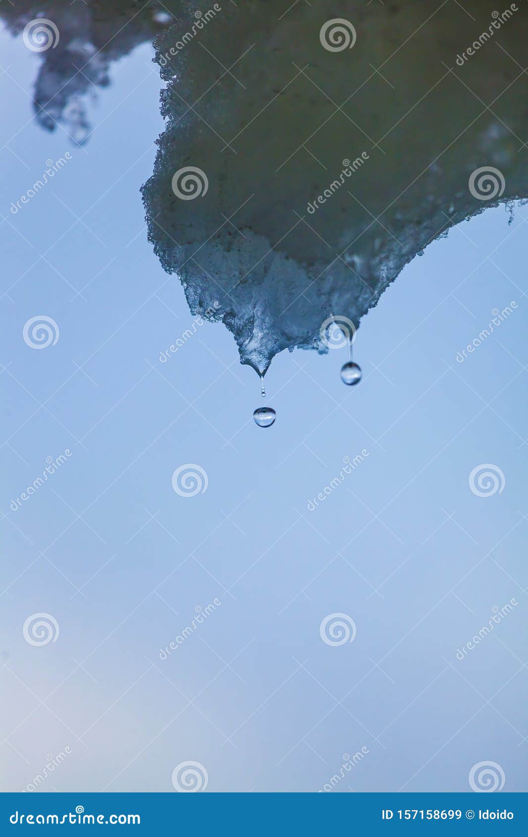A Drop Dripping during Snow Melt Stock Image - Image of abstract, drops ...