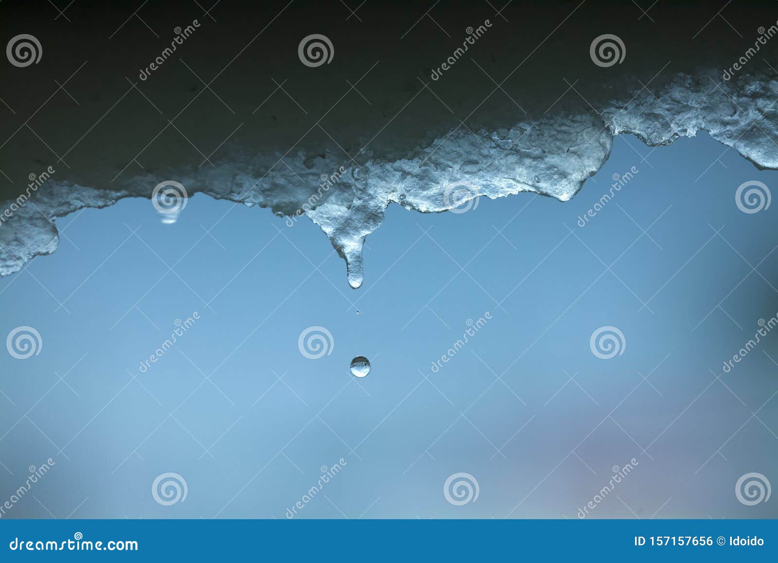 A Drop Dripping during Snow Melt Stock Photo - Image of melt, clear ...