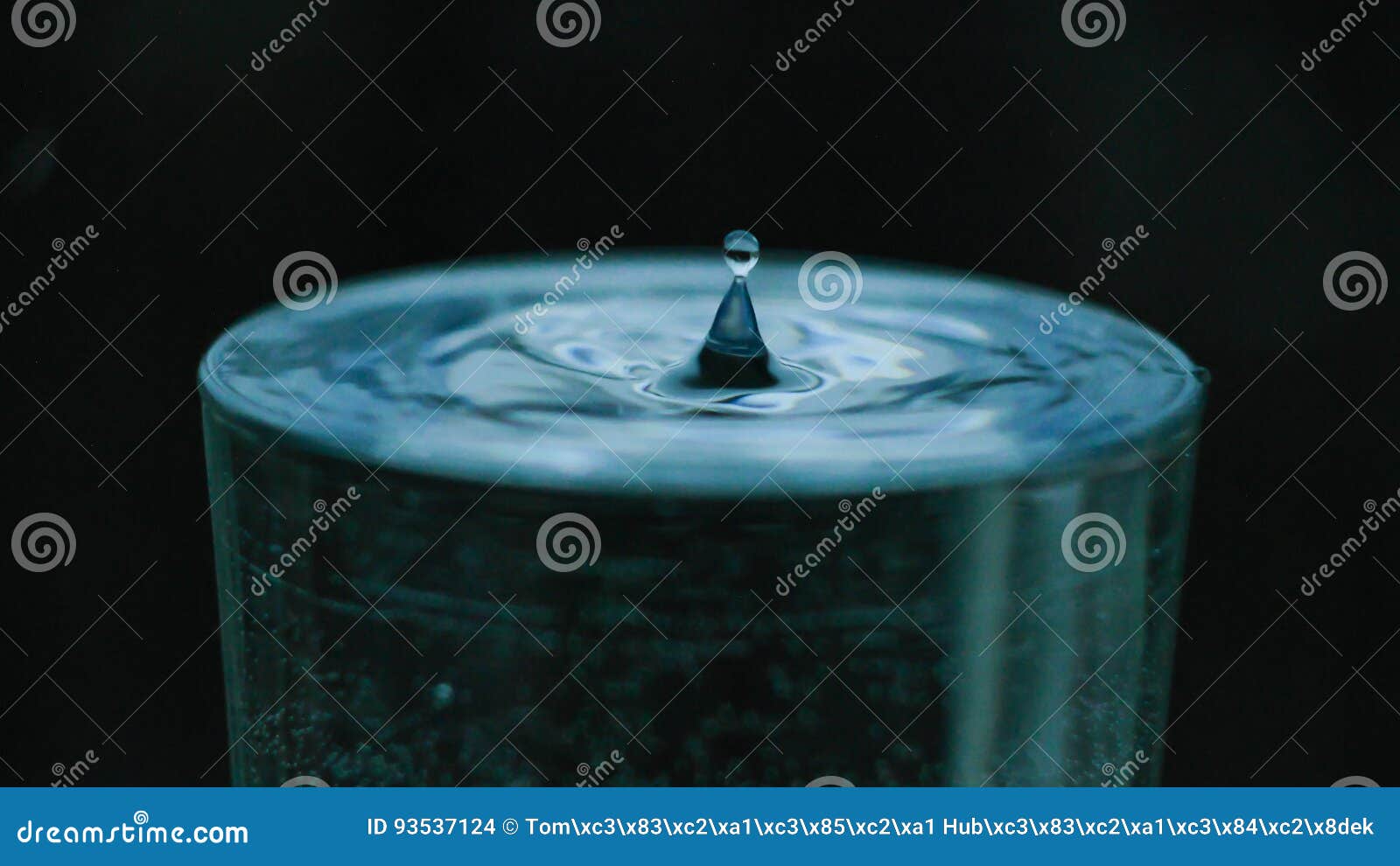 The drop stock photo. Image of glass, night, water, liefs - 93537124