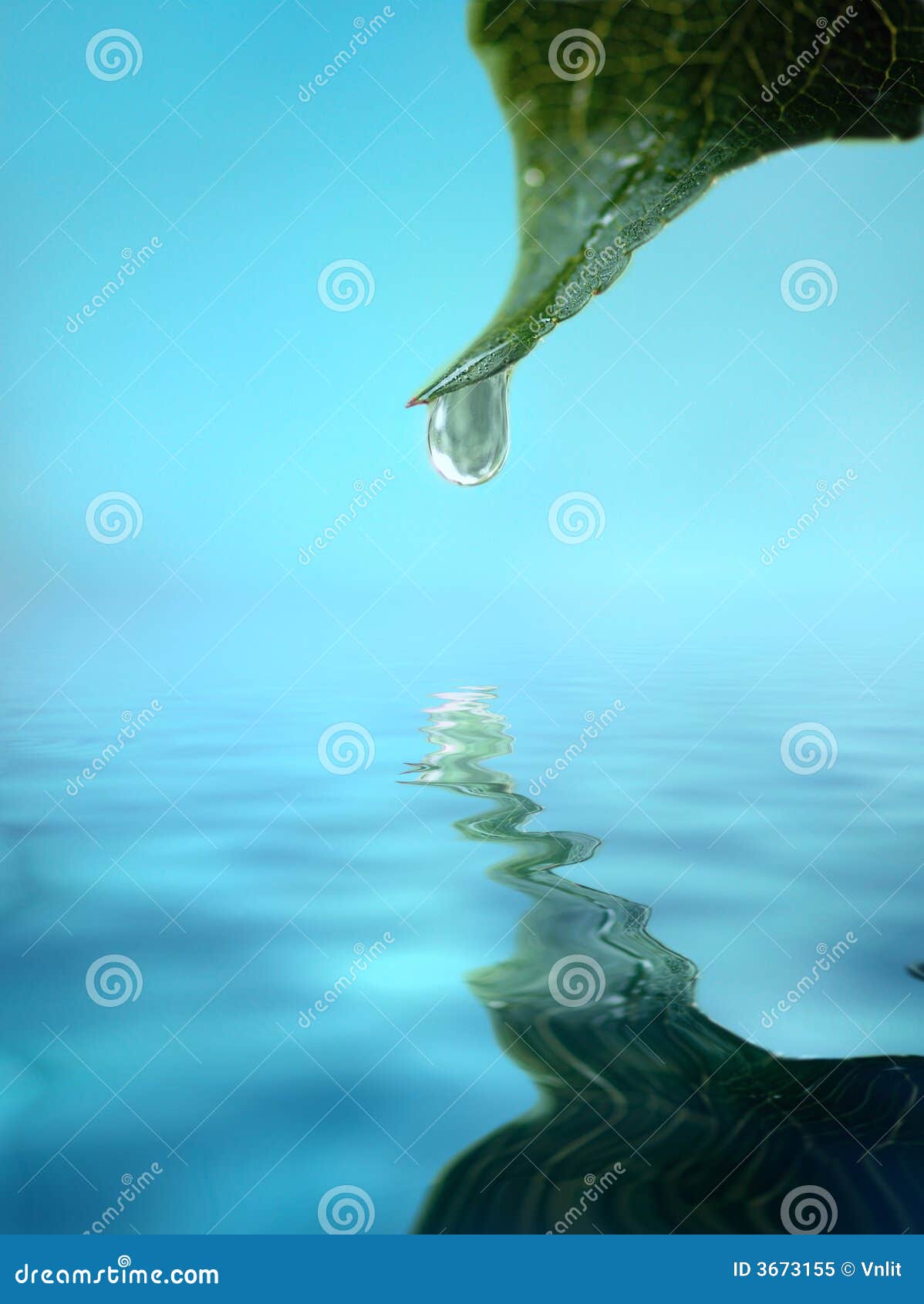 Drop hanging on leaf tip stock image. Image of green, scene - 3673155