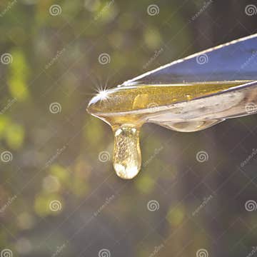 Drop of honey stock photo. Image of close, stream, health - 53249920