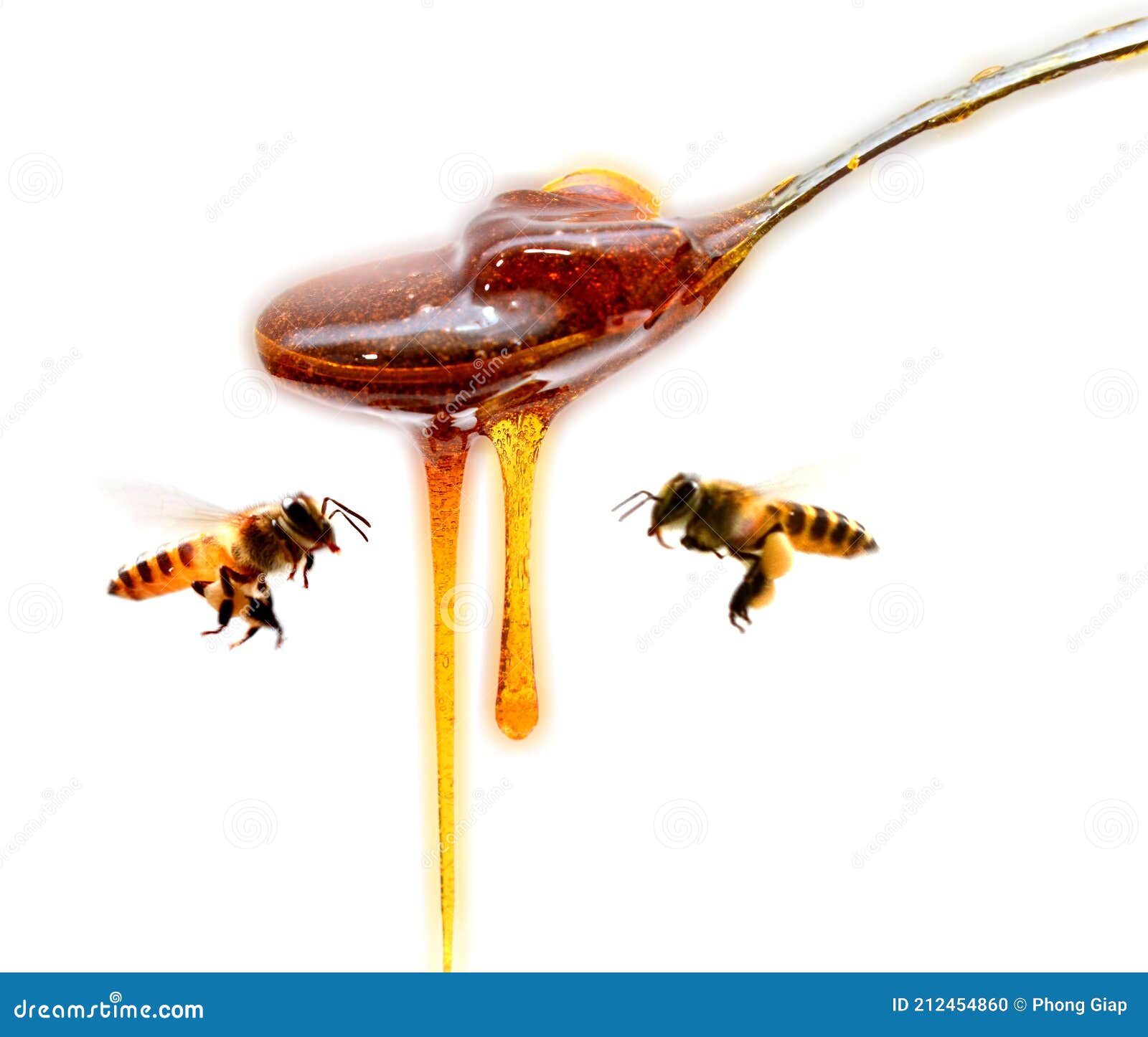 Drop of honey stock photo. Image of kitchen, lifestyle - 212454860