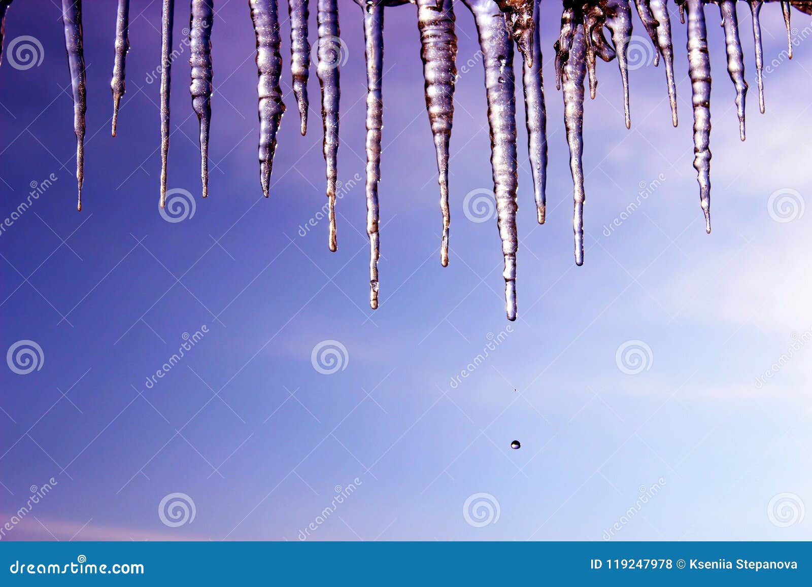 Drop stock photo. Image of drop, nature, winter, icicles - 119247978