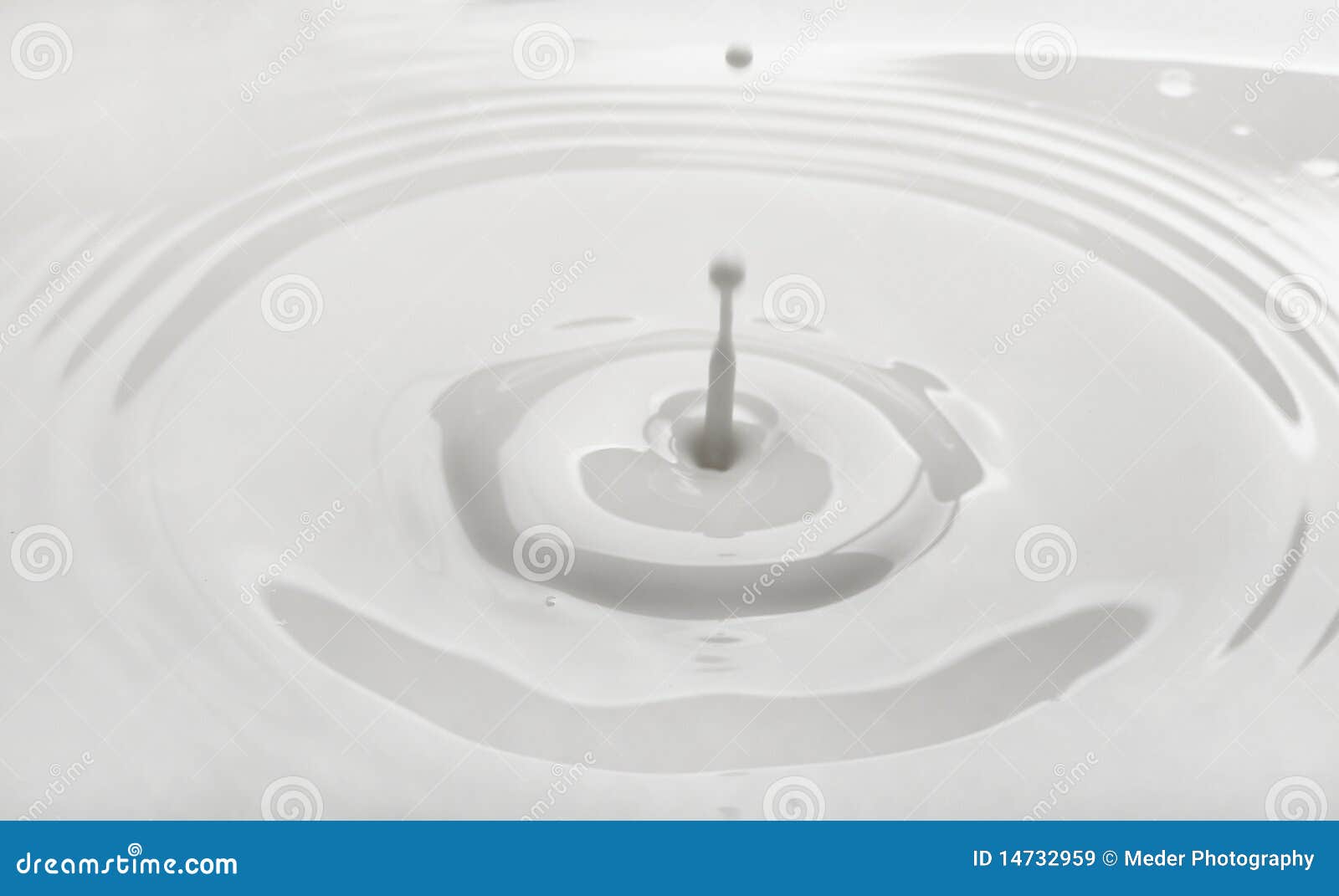 Drop of milk stock image. Image of beverage, circle, freshness - 14732959