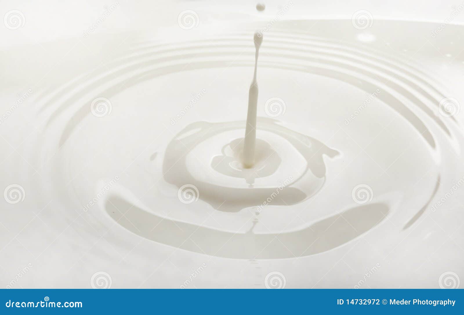 Drop of milk stock photo. Image of drop, abstract, fresh - 14732972