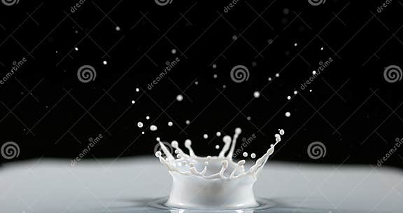Drop of Milk Falling Against Black Background Stock Image - Image of ...