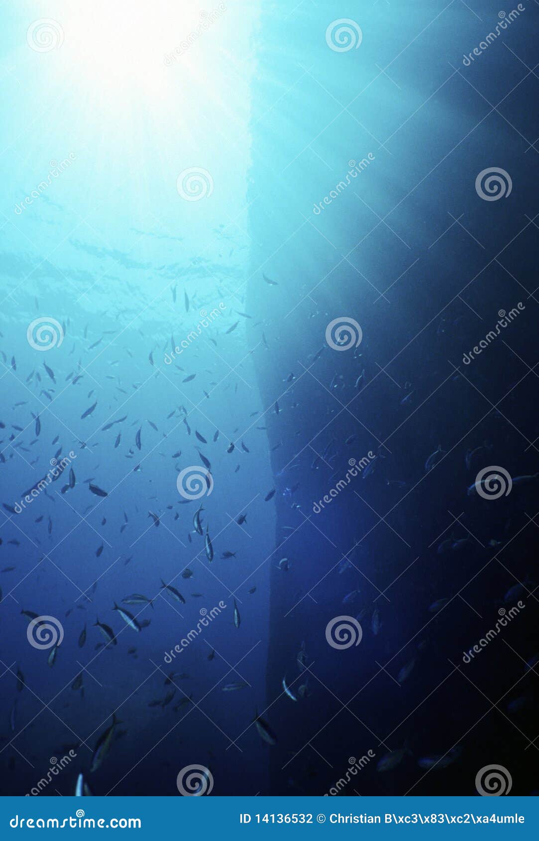 A drop-off in blue ocean stock photo. Image of diving - 14136532