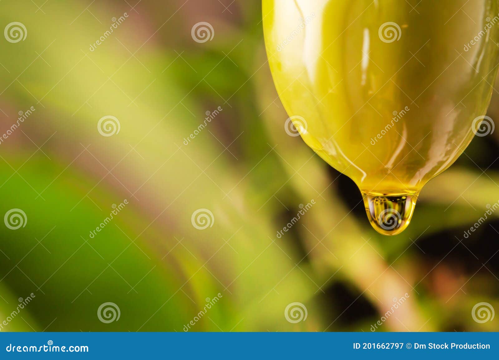 Green olive stock image. Image of drip, macro, kitchen - 201662797