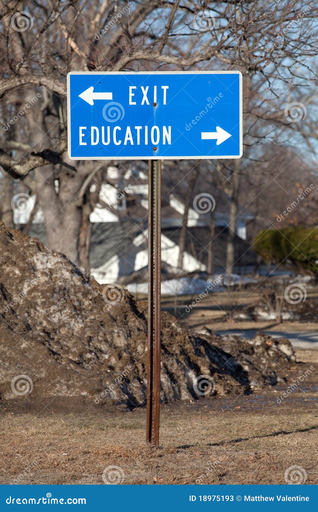 Drop Out or Stay in School? Sign with Options Stock Image - Image of ...