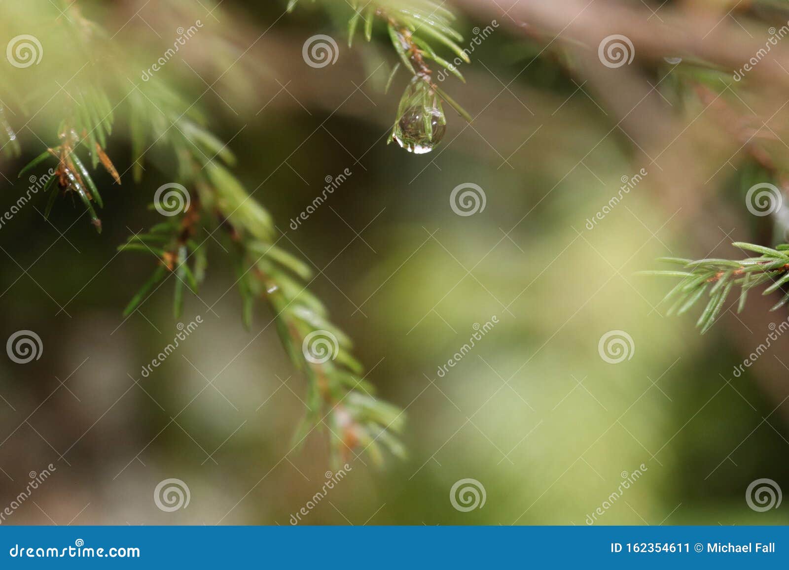 Drop of rain stock image. Image of nature, drop, rain - 162354611