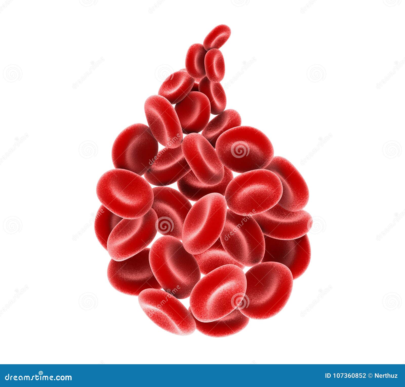 Blood Cells Plasma Infographics Cartoon Vector | CartoonDealer.com ...