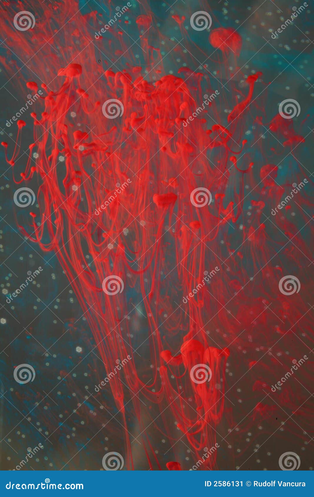 Drop of red ink stock image. Image of surreal, explosion - 2586131