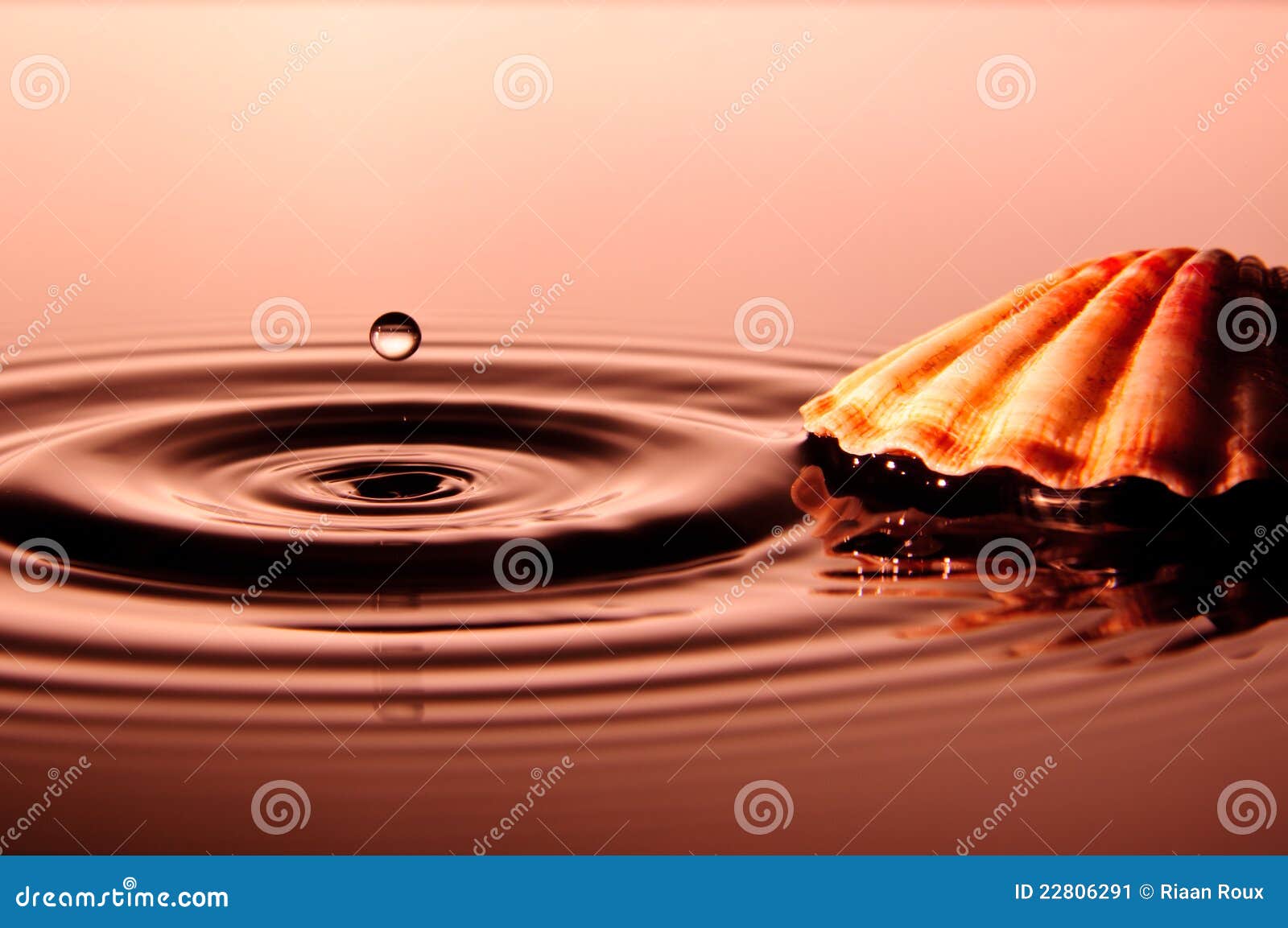 Drop with Shell stock image. Image of fantasy, bath, mirrors - 22806291
