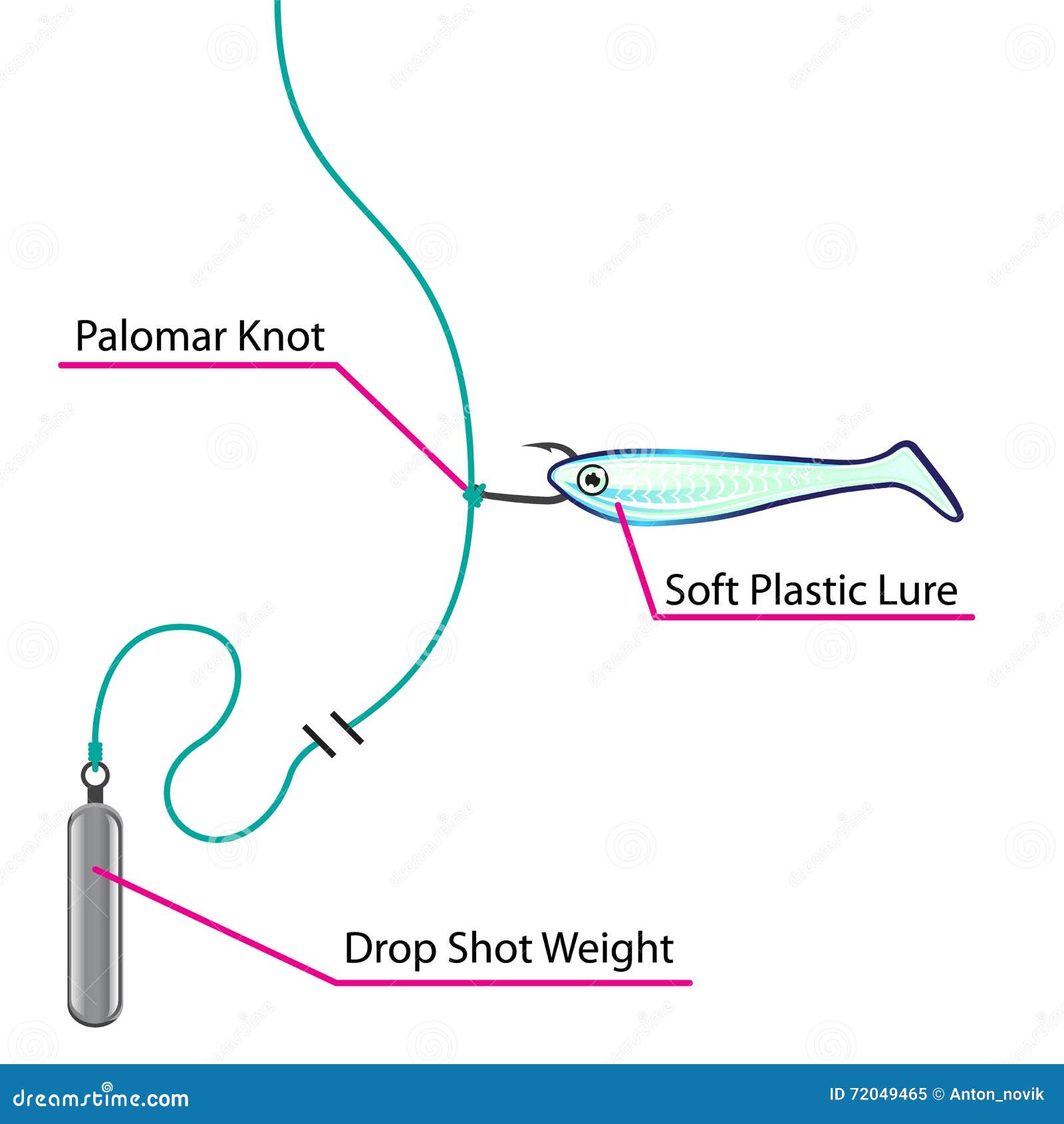 Drop Shot Lure Setup Bottom Fishing Stock Vector - Illustration of soft ...
