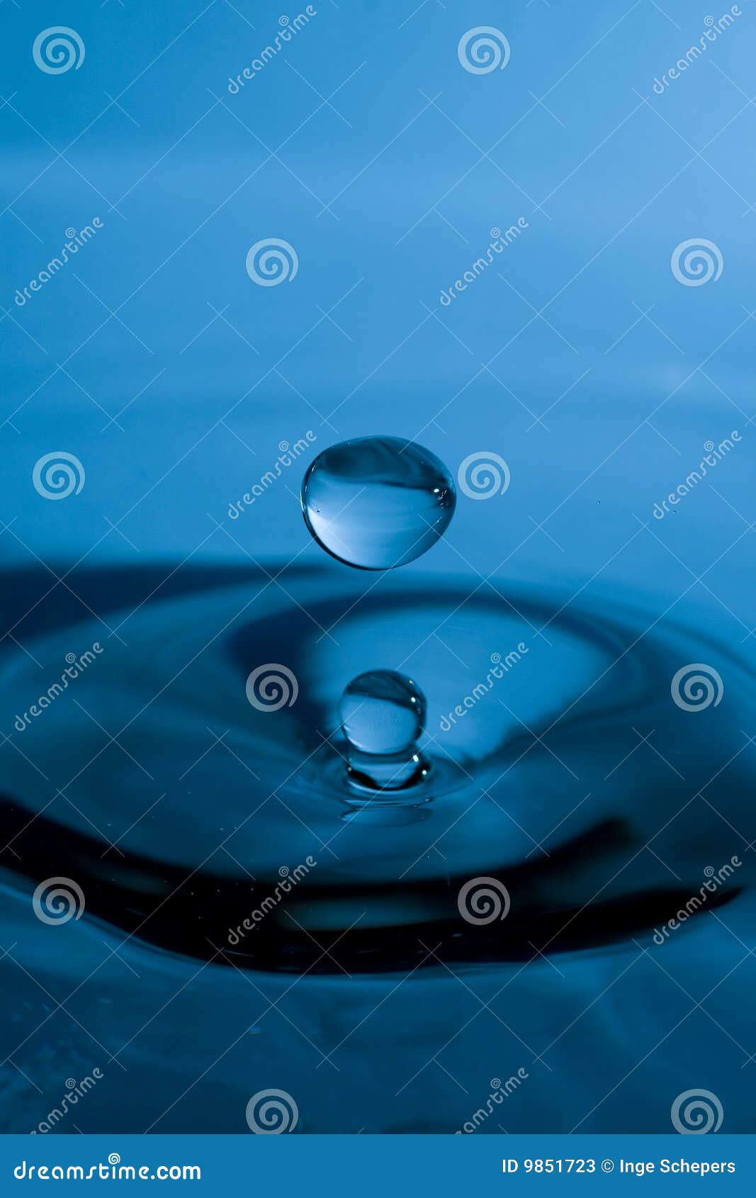 Drop of Water stock image. Image of dripping, water, rippled - 9851723