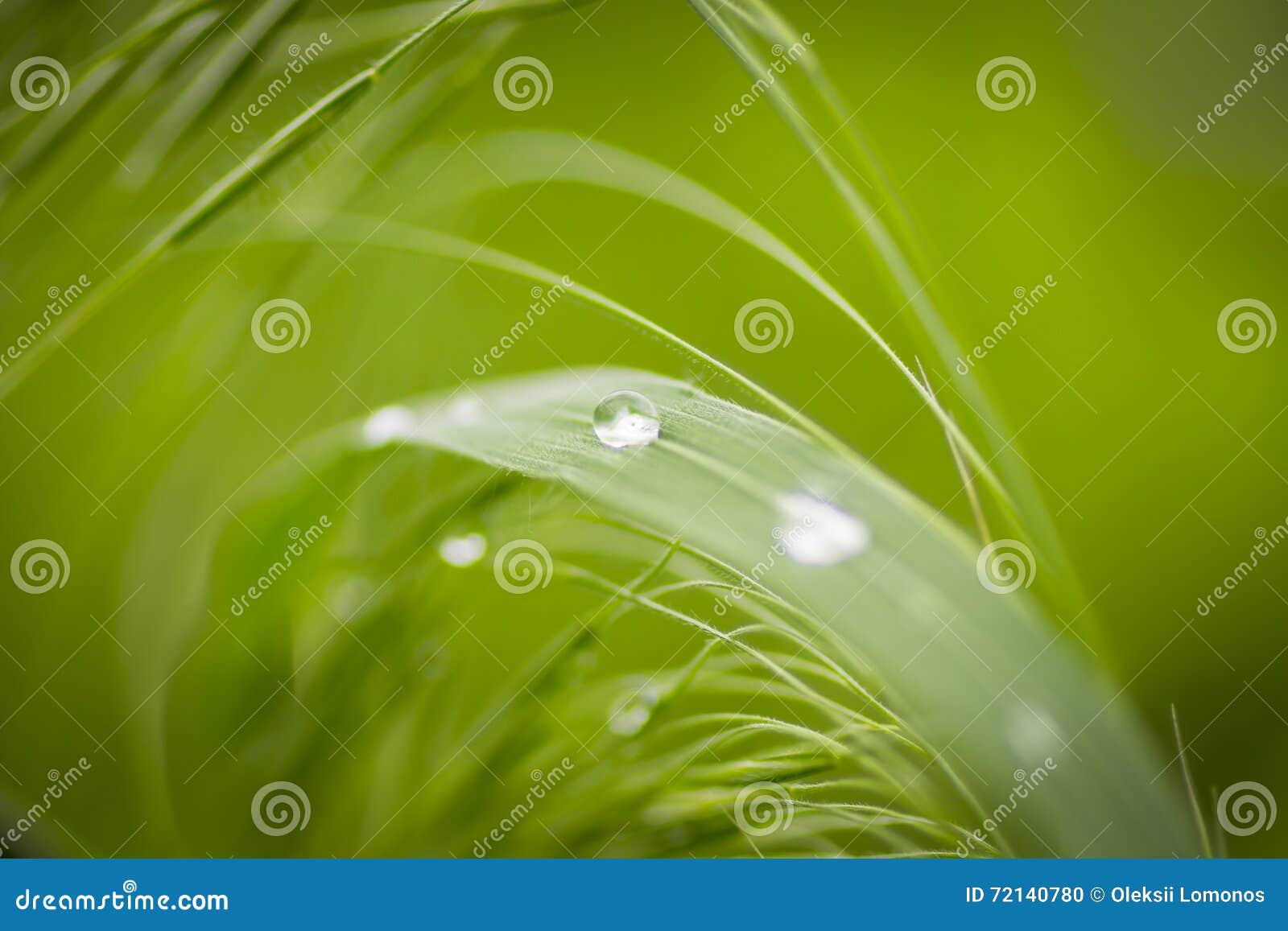 A Drop of Water on a Curved Sheet Stock Photo - Image of depth ...