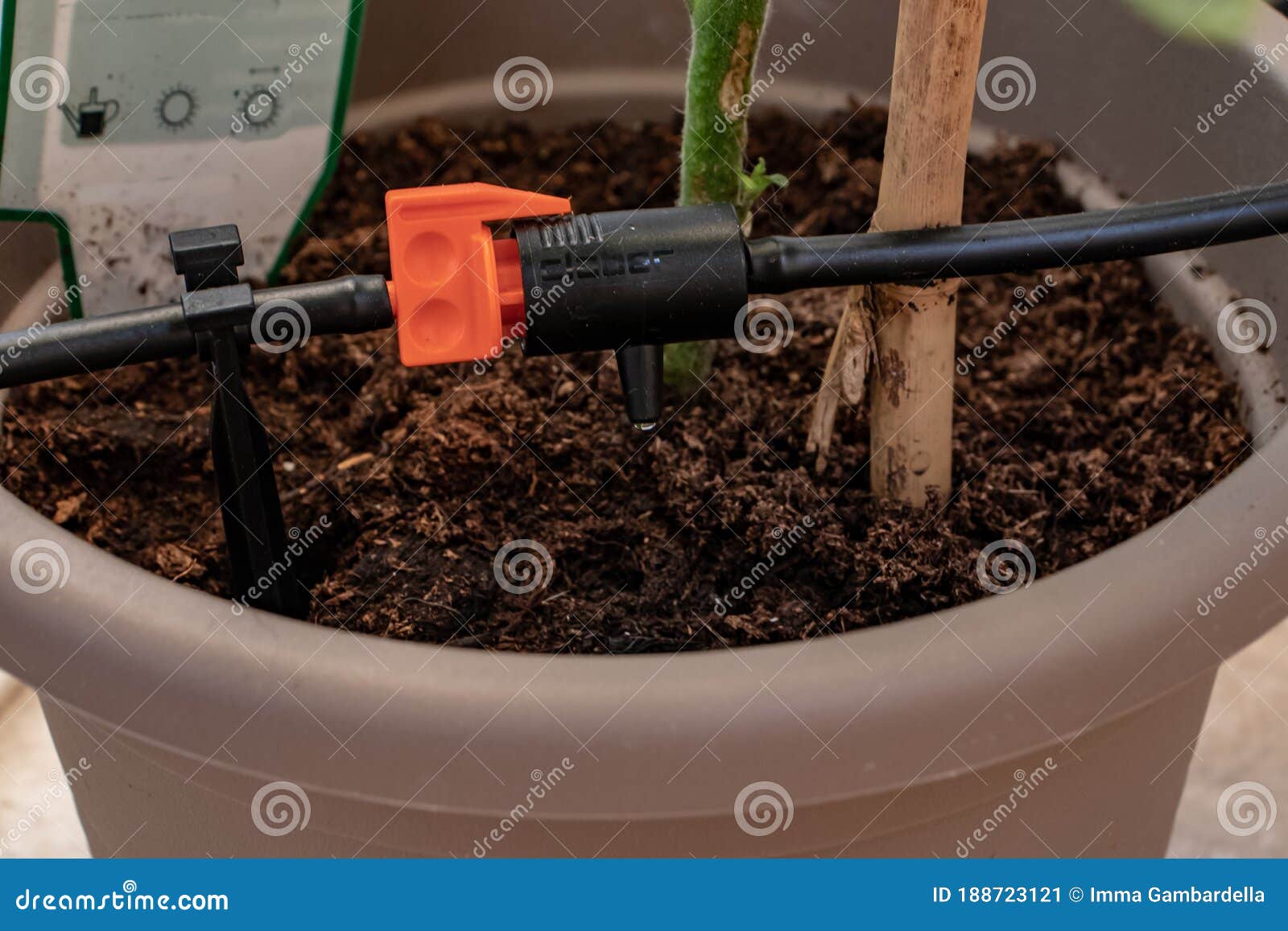 A Drop of Water from a Drip Irrigation System. Stock Image - Image of ...