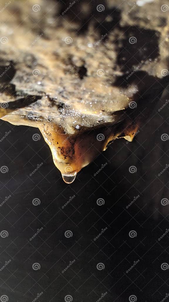 Drop of Water Dripping Off a Cave Ceiling Stock Image - Image of ...