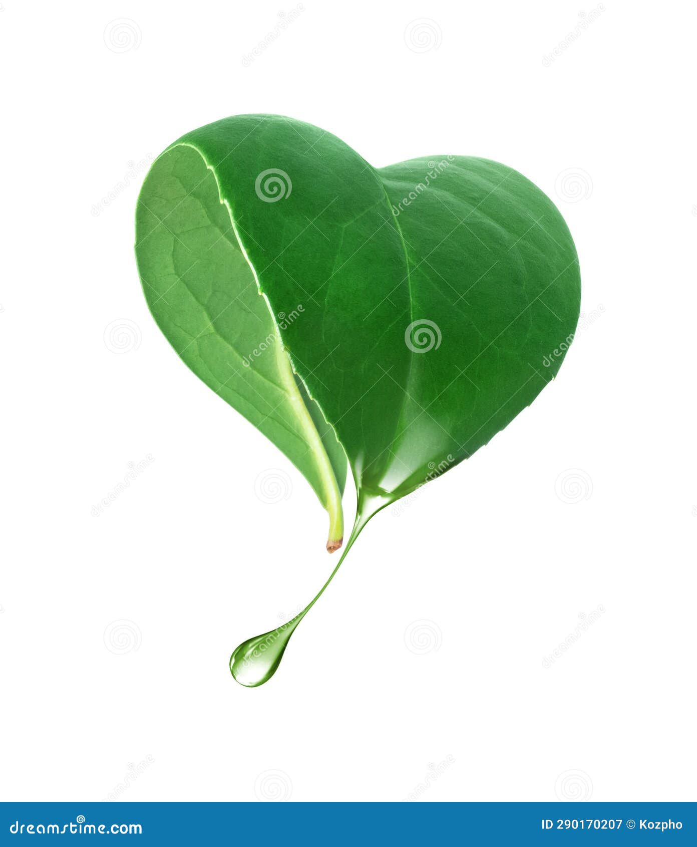 A Drop of Water Drips from a Leaf in the Shape of Heart Stock Image ...
