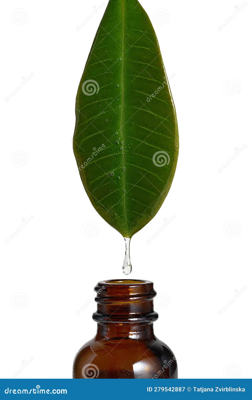 Drop of Water Drips from a Leaf in To a Bottle Stock Image - Image of ...