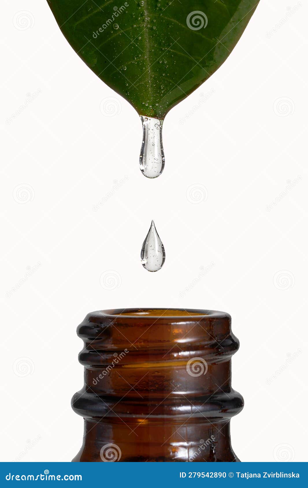 Drop of Water Drips from a Leaf in To a Bottle Stock Photo - Image of ...