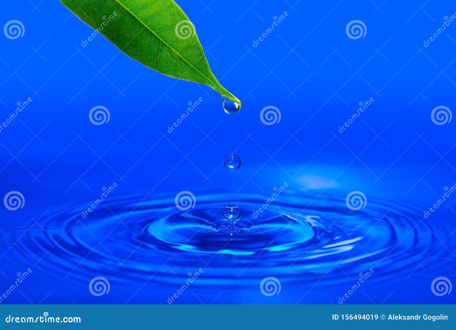A Drop of Water Falling from a Green Leaf into the Water Stock Image ...