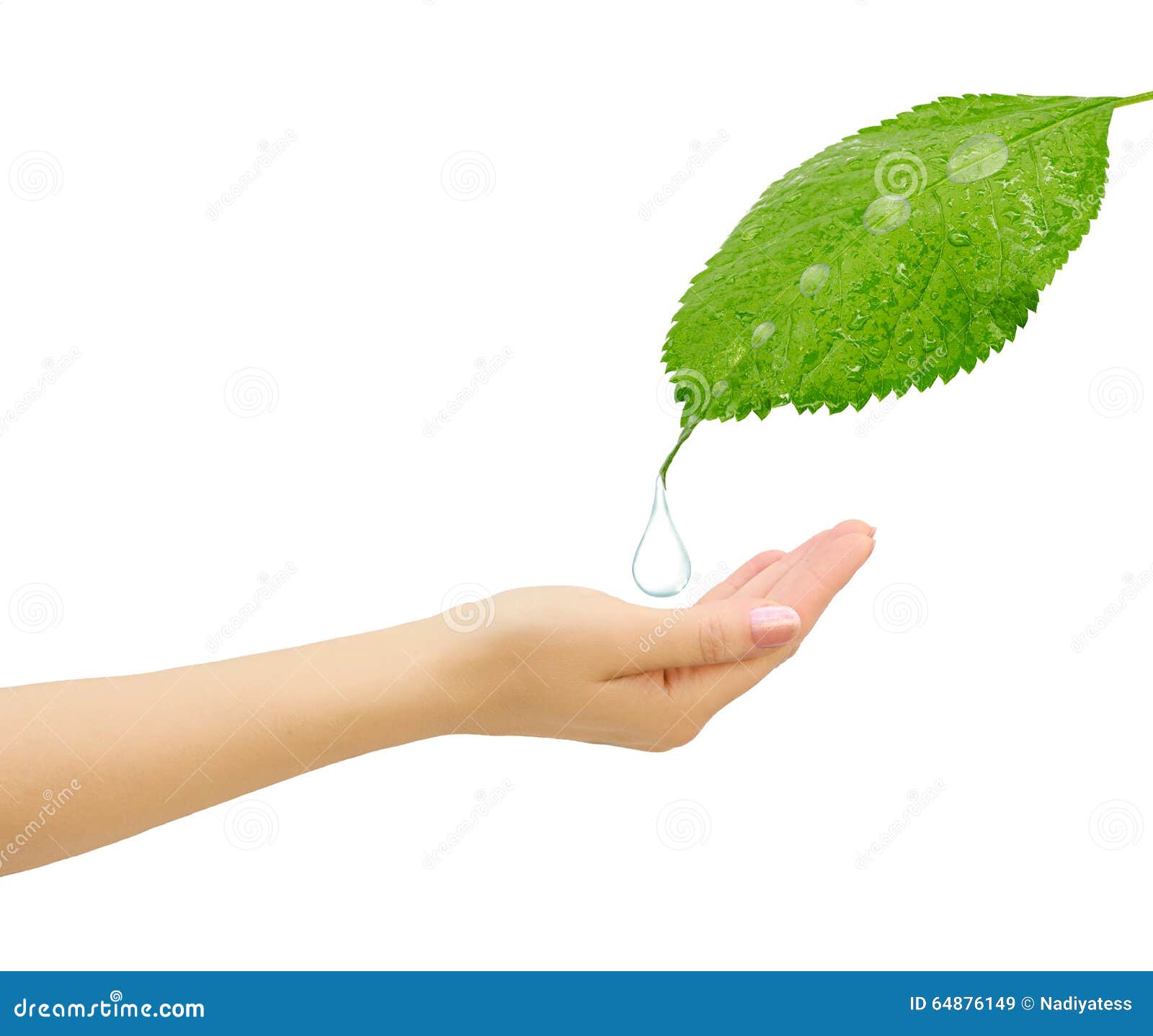 Drop of Water Falling on Hand Stock Image - Image of healthy, finger ...