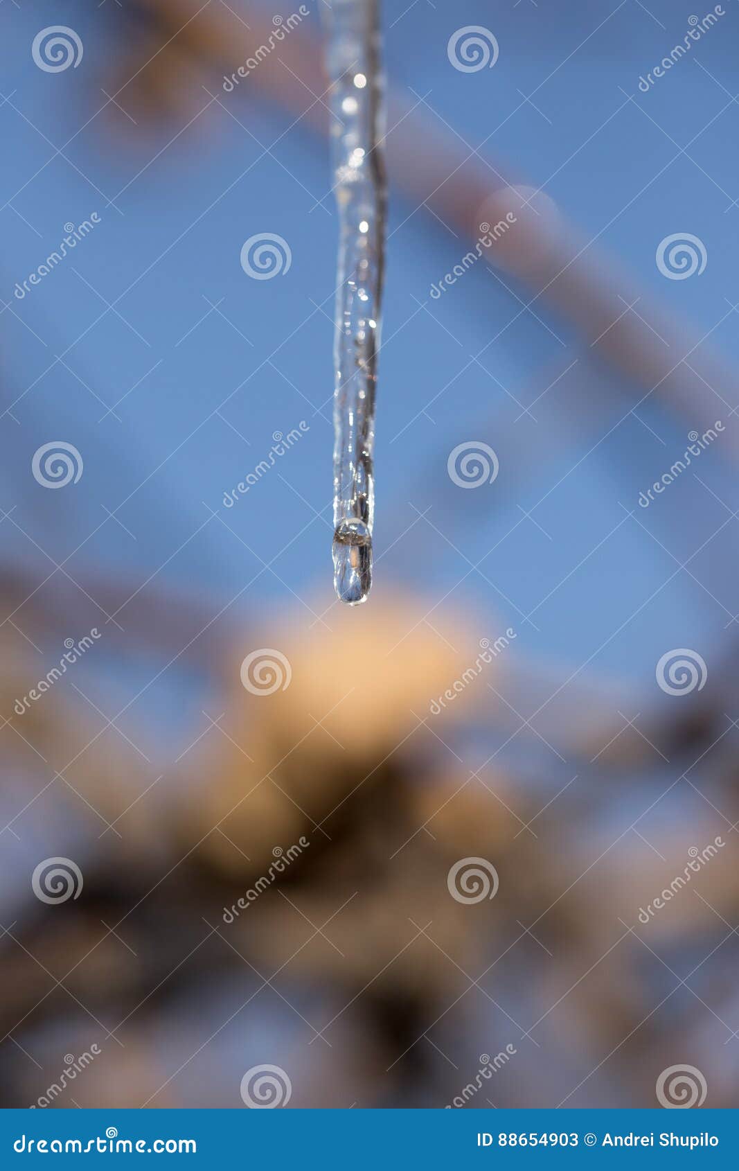 A Drop of Water is Falling from an Icicle Stock Image - Image of ...