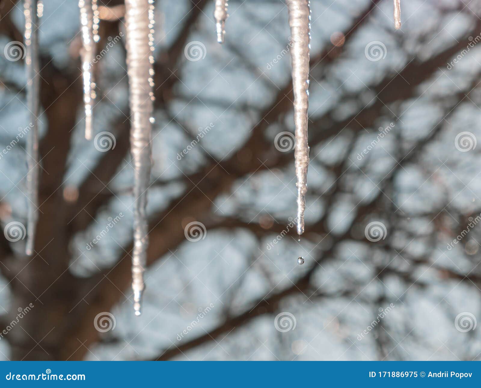 A Drop of Water Falling from the Icicles Stock Image - Image of closeup ...